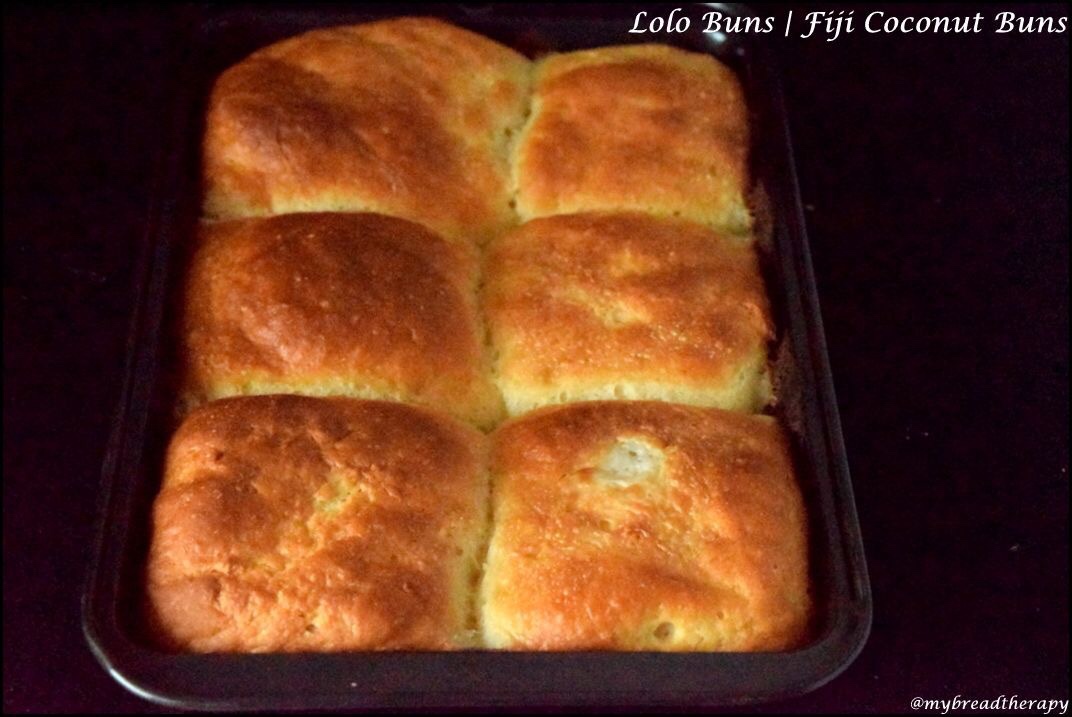 Lolo Buns | Fijian Coconut Buns – Bread Therapy