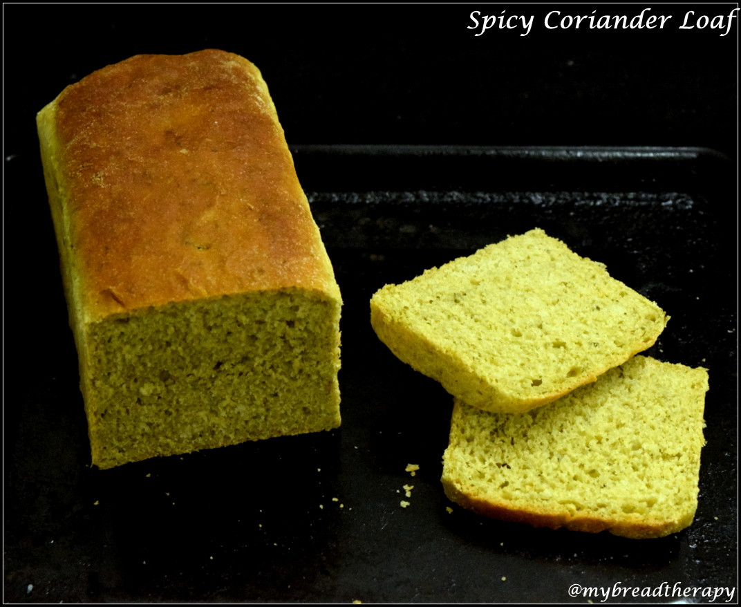 Spicy Coriander Bread – Bread Therapy