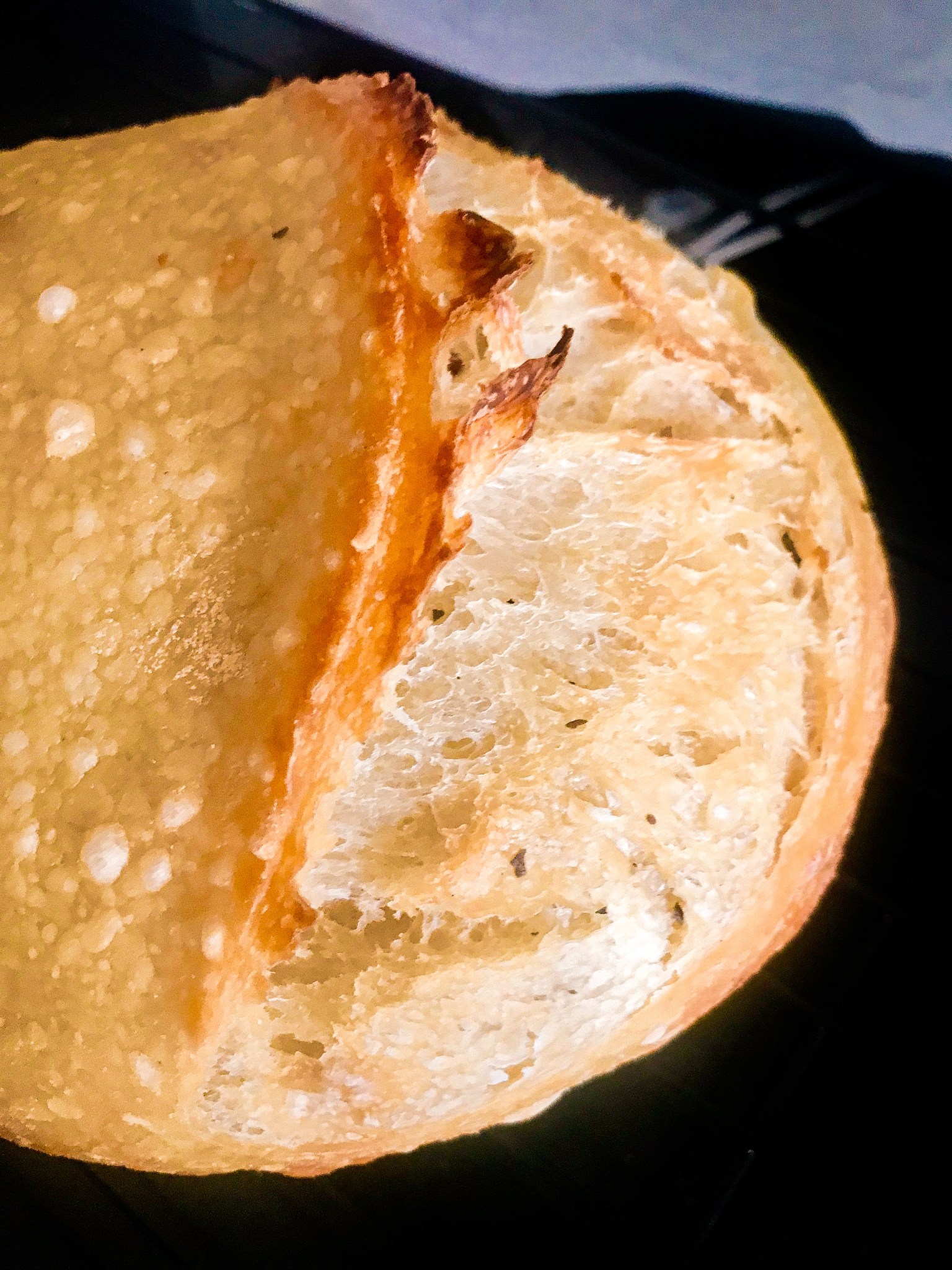 Sourdough Loaf with Lamination – Bread Therapy